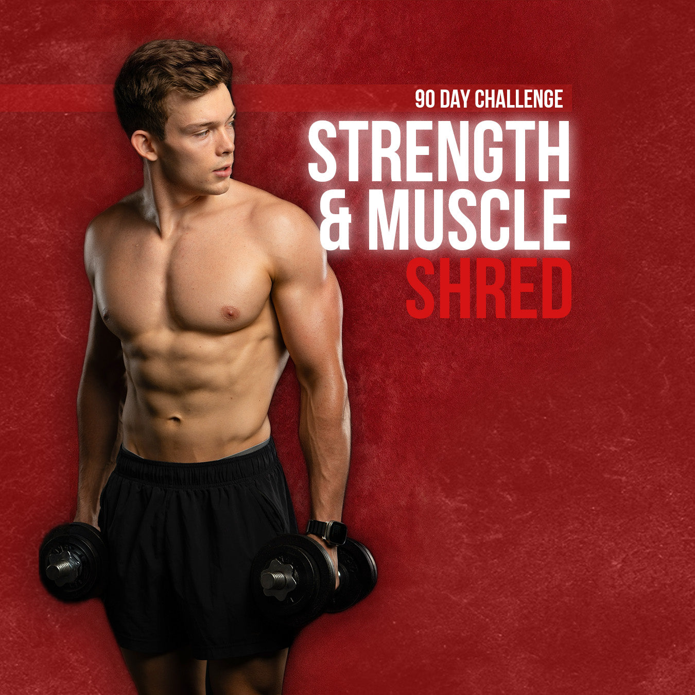 Strength & Muscle Shred – 90 Day Challenge